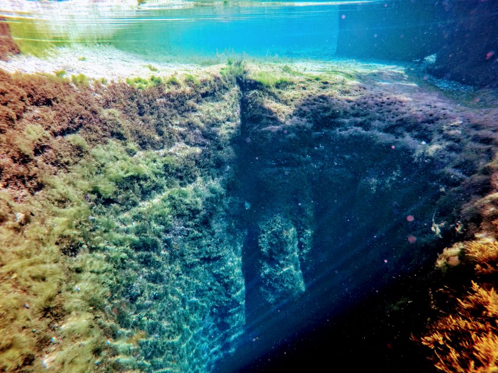 Watershed Protection & Conservation Science - The Watershed Association