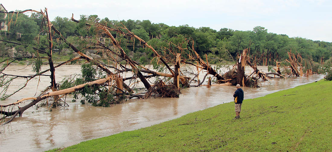 Central Texas Floodplain Reforestation Program - The Watershed Association