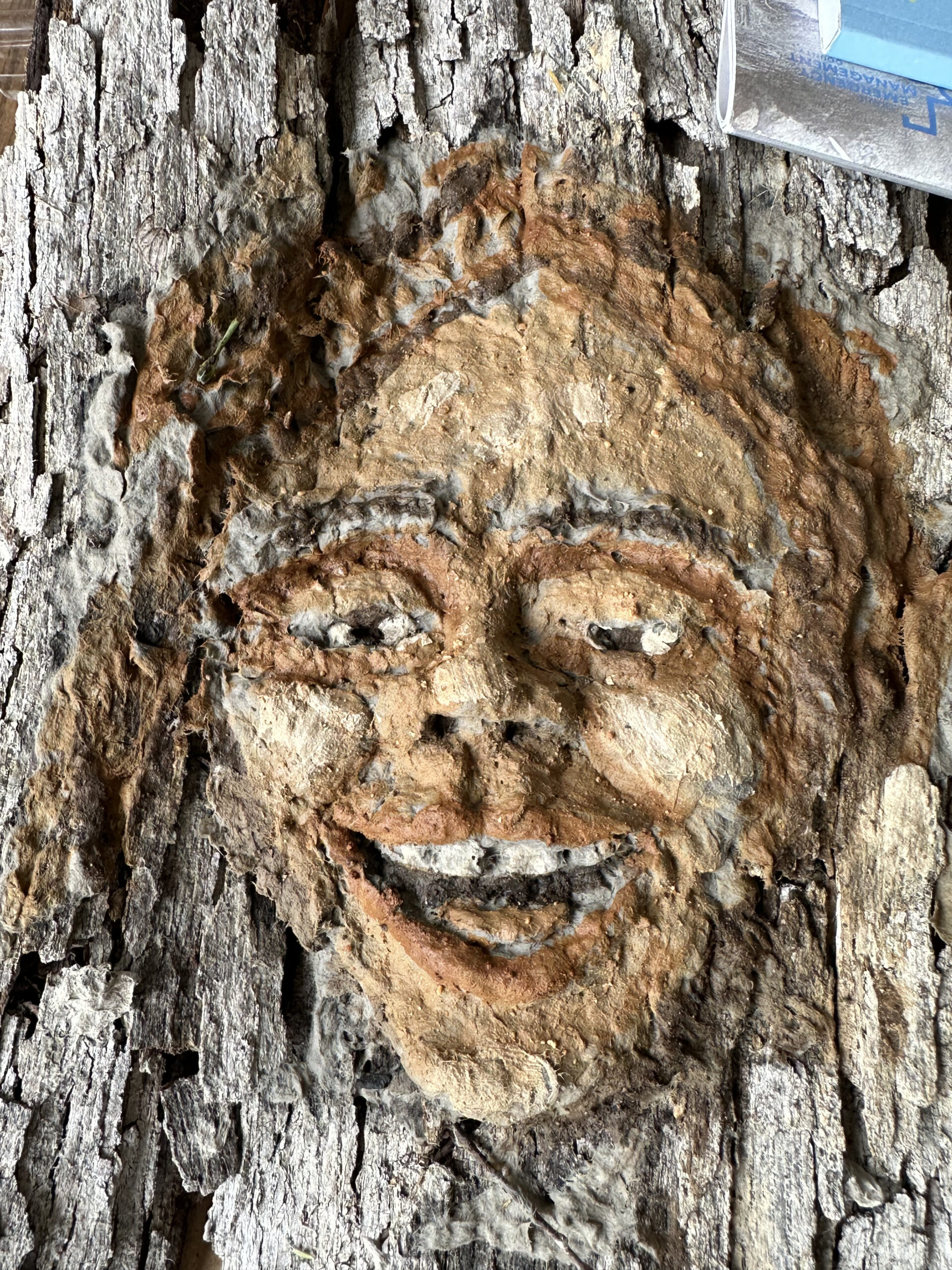 A Day with Bob Mud - The Watershed Association