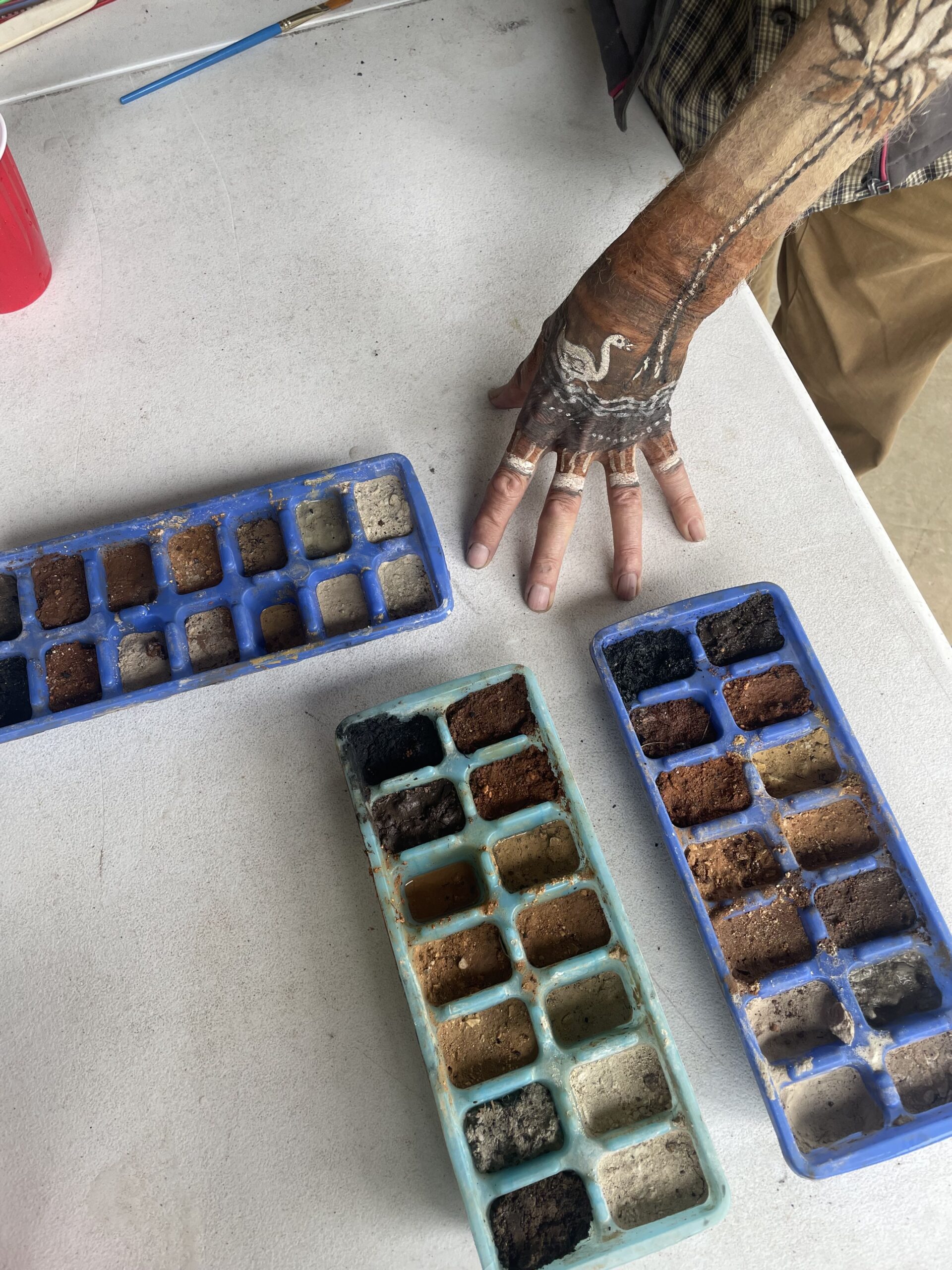 A Day with Bob Mud - The Watershed Association